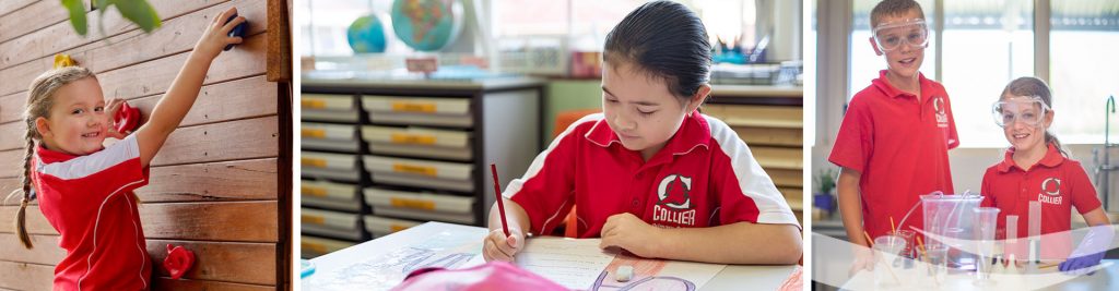 History – Collier Primary School