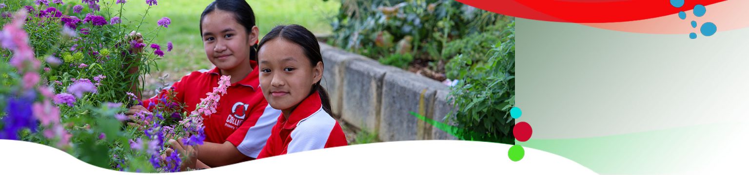 About the P&C – Collier Primary School